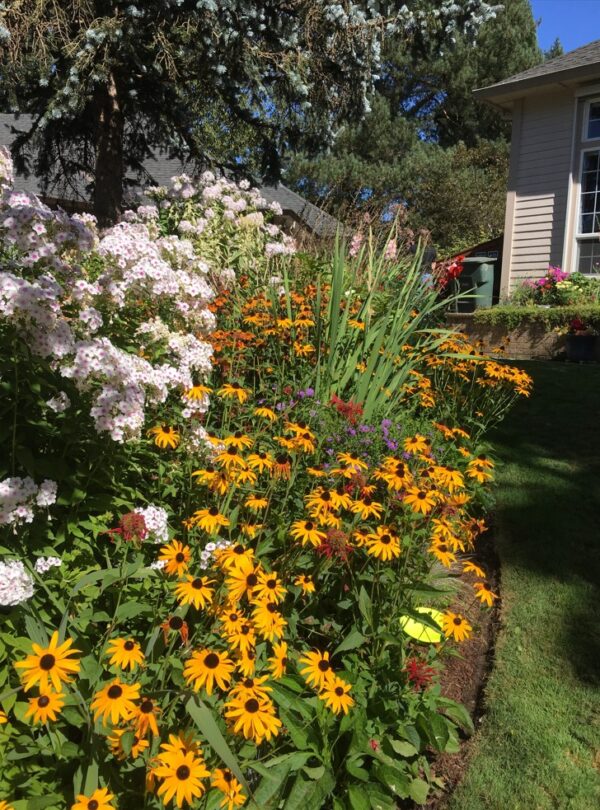 Pacific Horticulture | Lab Report: Meet the Garden Ecology Lab
