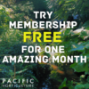 Pacific Horticulture