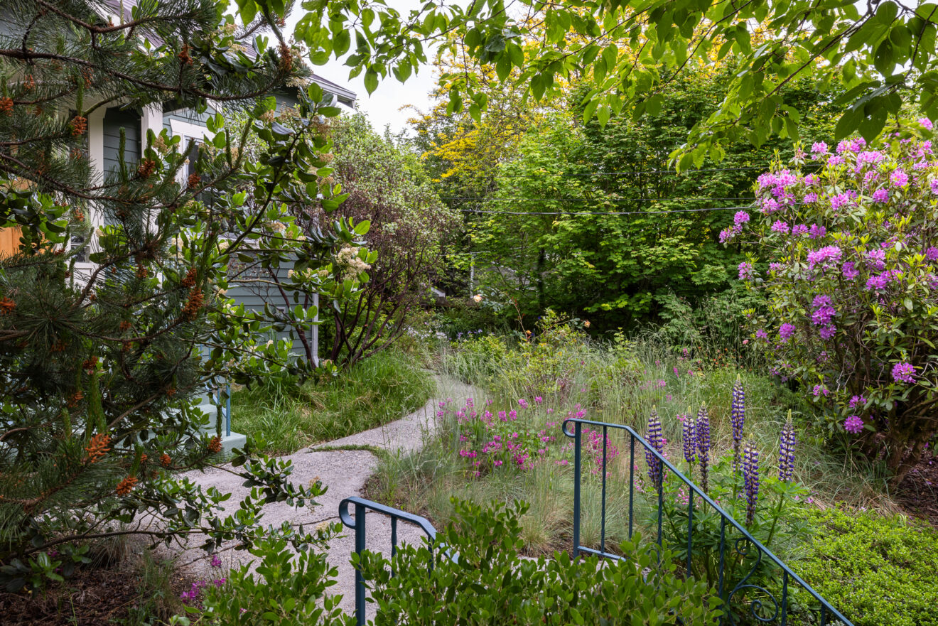 Pacific Horticulture | Natural Beauties: Two Seattle Award-winners ...