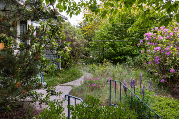 Pacific Horticulture | Natural Beauties: Two Seattle Award-winners ...