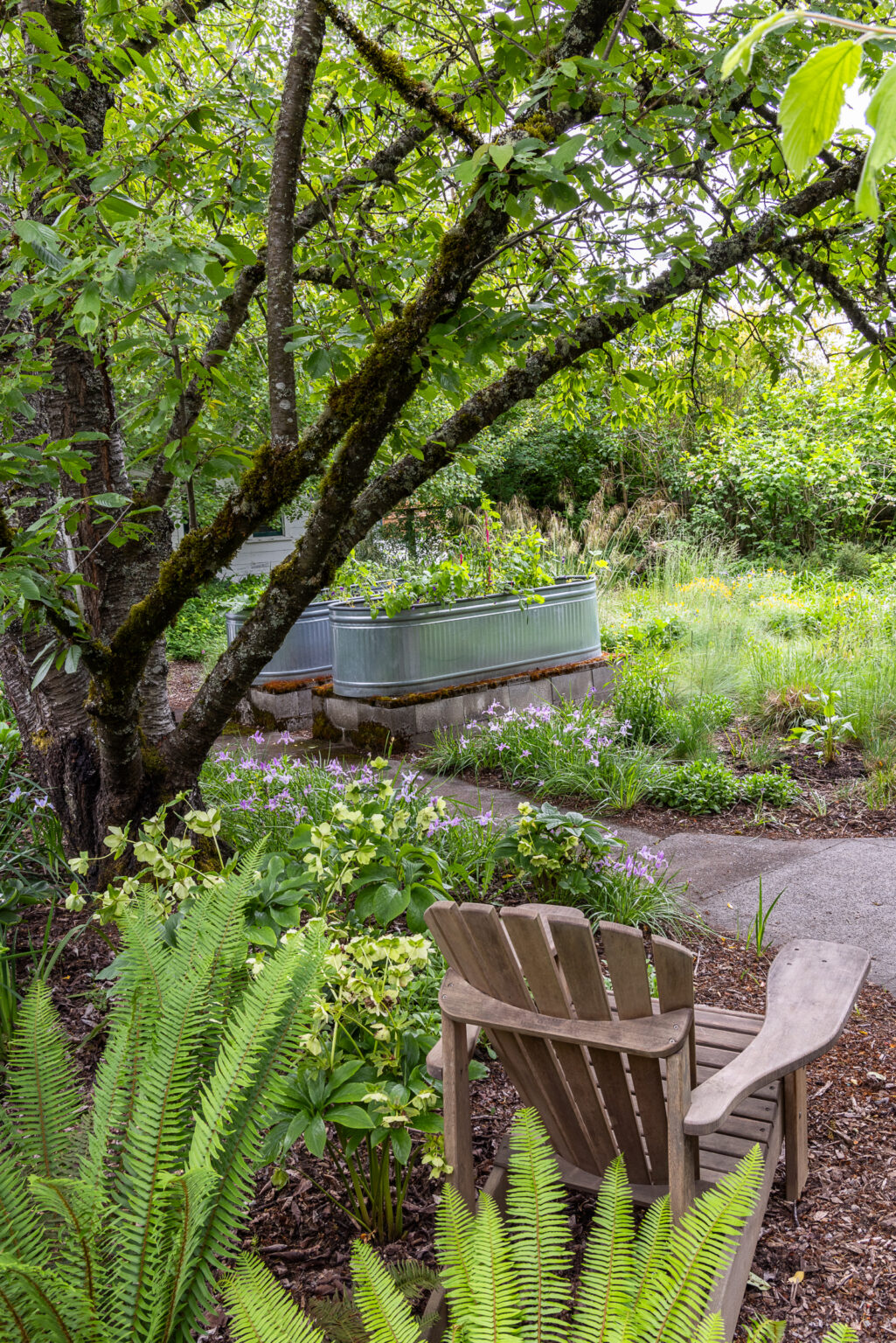 Pacific Horticulture | Natural Beauties: Two Seattle Award-winners ...