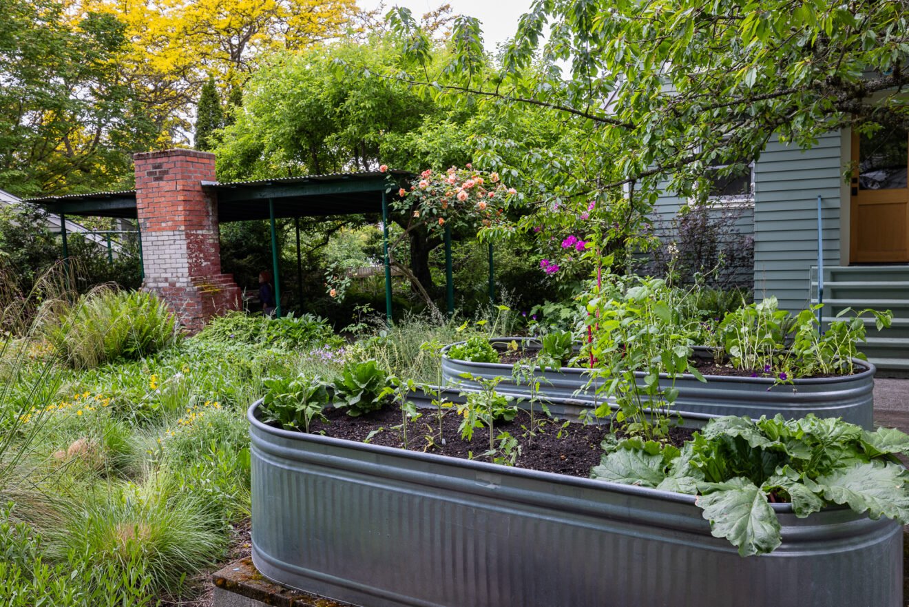 Pacific Horticulture | Natural Beauties: Two Seattle Award-winners ...