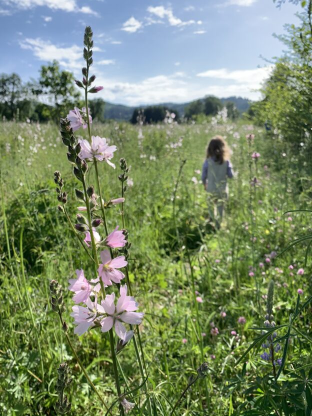 Adinah D’Andrea - Pacific Horticulture