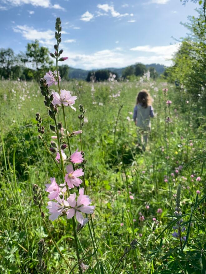Adinah D’Andrea - Pacific Horticulture